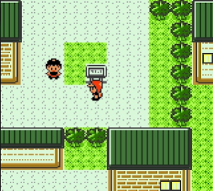 Pokemon Bronze - PokéHarbor