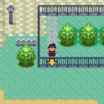 Pokemon Chrome - PokéHarbor