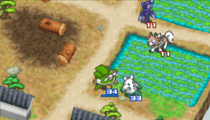 Pokemon Conquest: Ultimate (NDS) Download - PokéHarbor