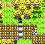 Pokemon Polished Crystal (GBA) Download - PokéHarbor